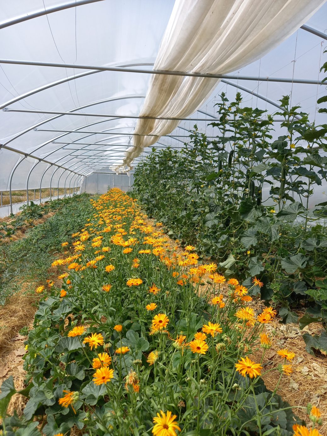 Moncondroz » Acterre