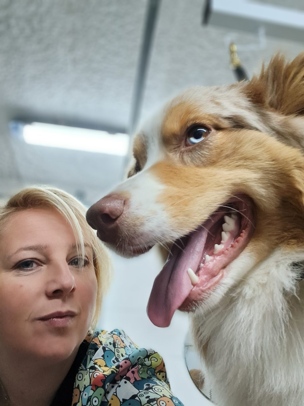 Moncondroz » Charly and Co