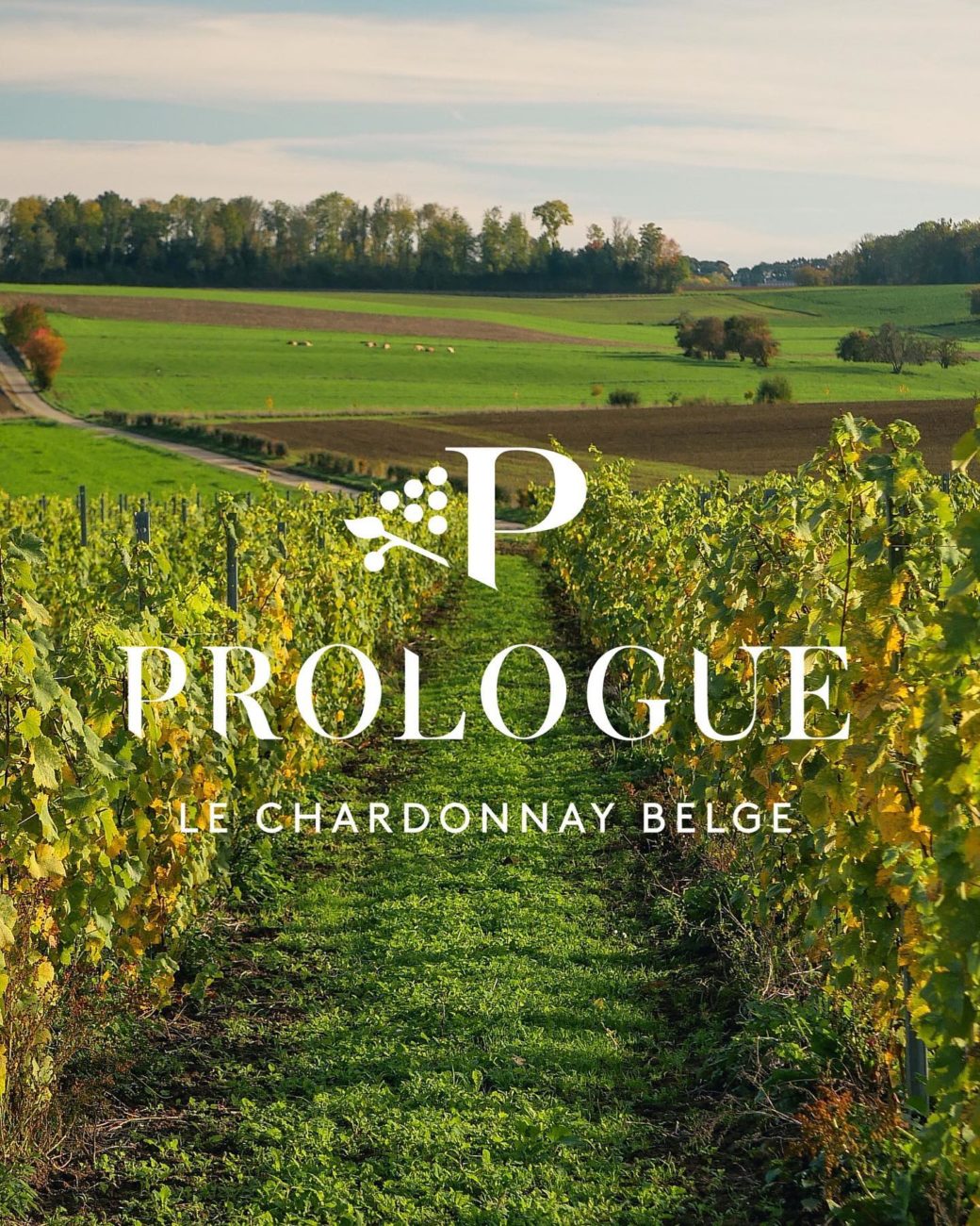 Moncondroz » Prologue Vignoble